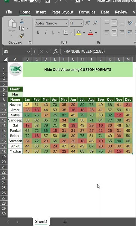 HIDE Cell Value using Custom Formats in Excel #exceltips #exceltricks #xlstudio #hidecell - YouTube