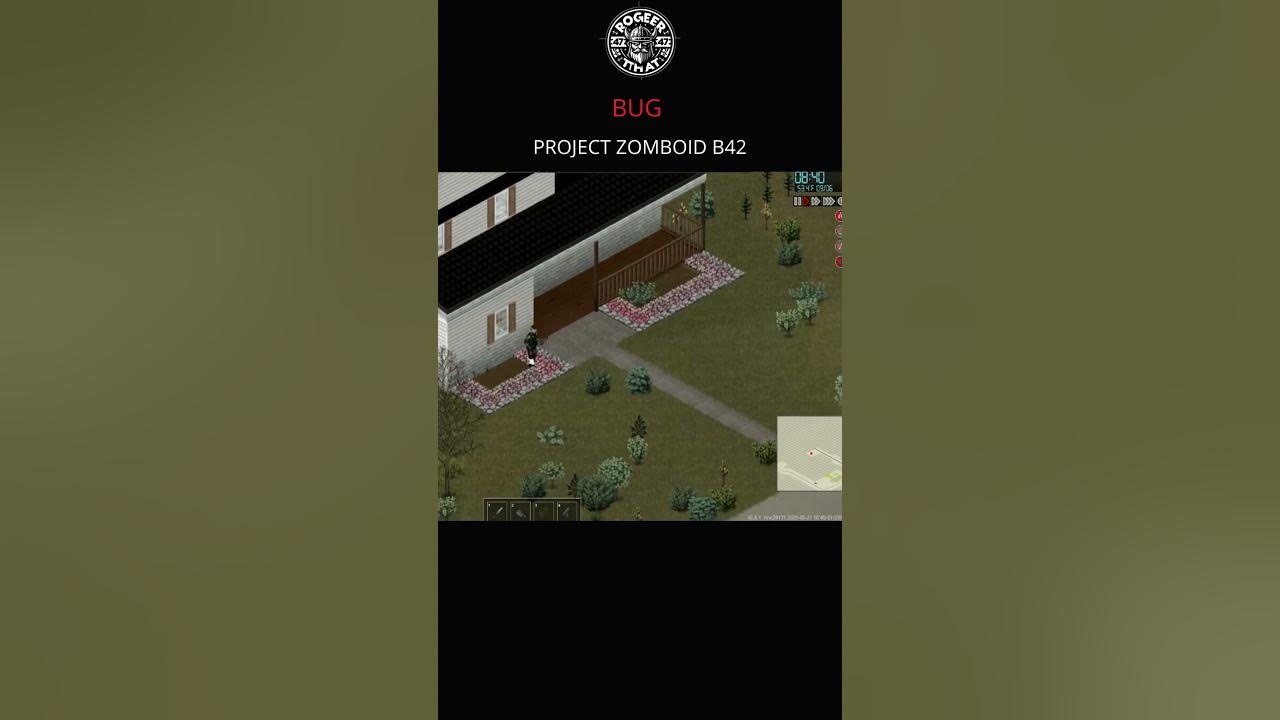 bug bizarro PROJECT ZOMBOID B42 - YouTube