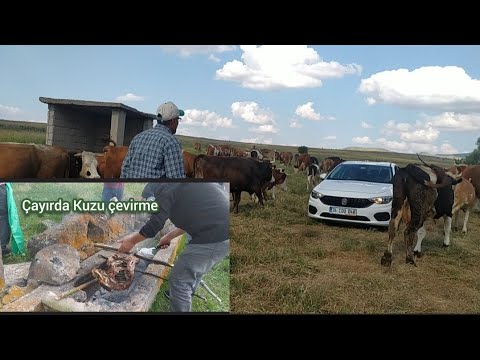Nevşehir Ağıllı Köyü Kuzu Çevirme: Çoban İsyanı! | Sac Tava ve Bayram Pikniği