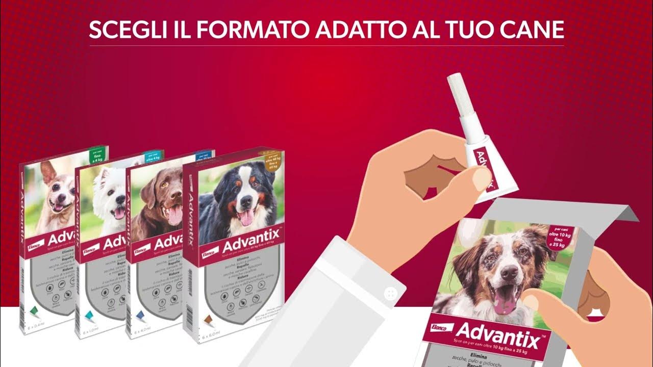 Come si applica Advantix - YouTube