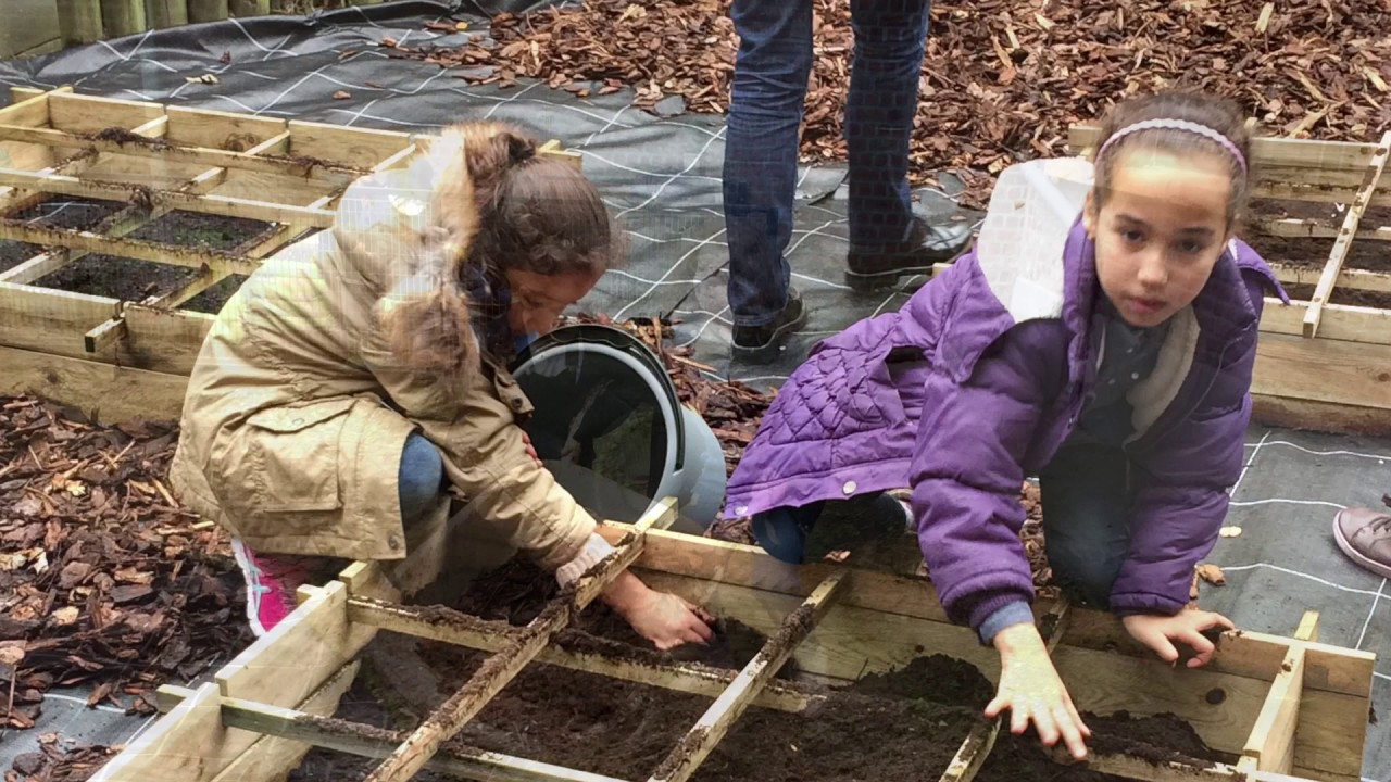 Aanleg Moestuin Sint-Karelinstituut - YouTube