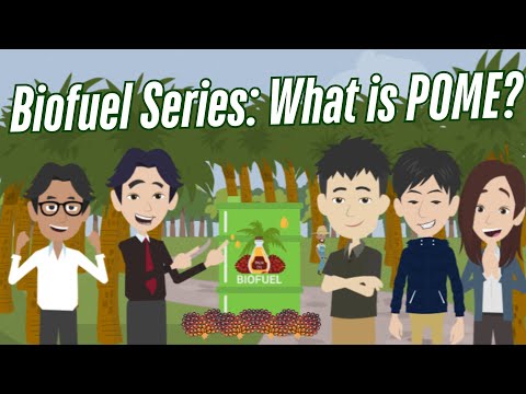 Biofuel Series: Can Palm Oil Waste (POME) Power the Future of Clean Energy?
