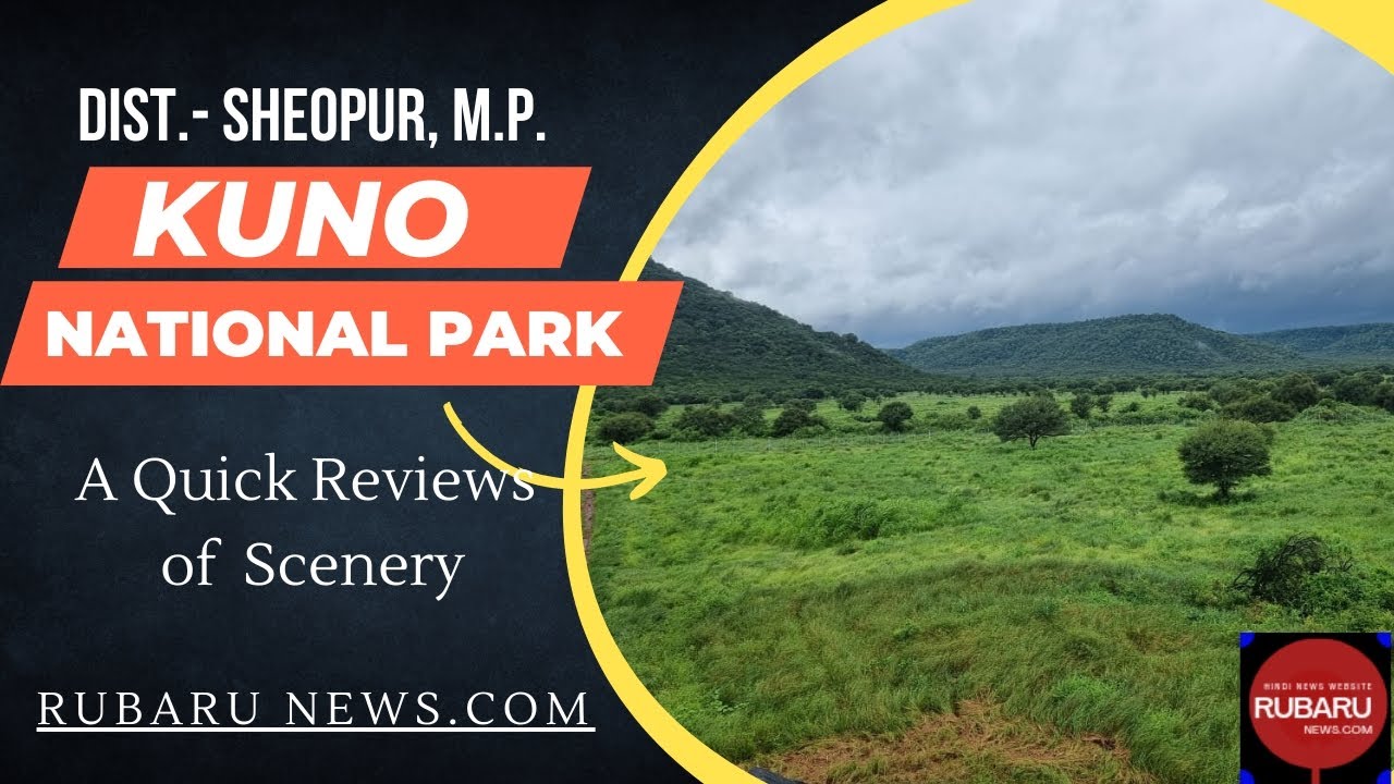 KUNO NATIONAL PARK Dist Sheopur Madhya pradesh India.#kunonationalpark ...