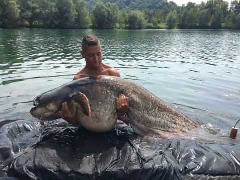 Carp Fishing... 240lb catfish caught from Iktus Carp Lake - YouTube