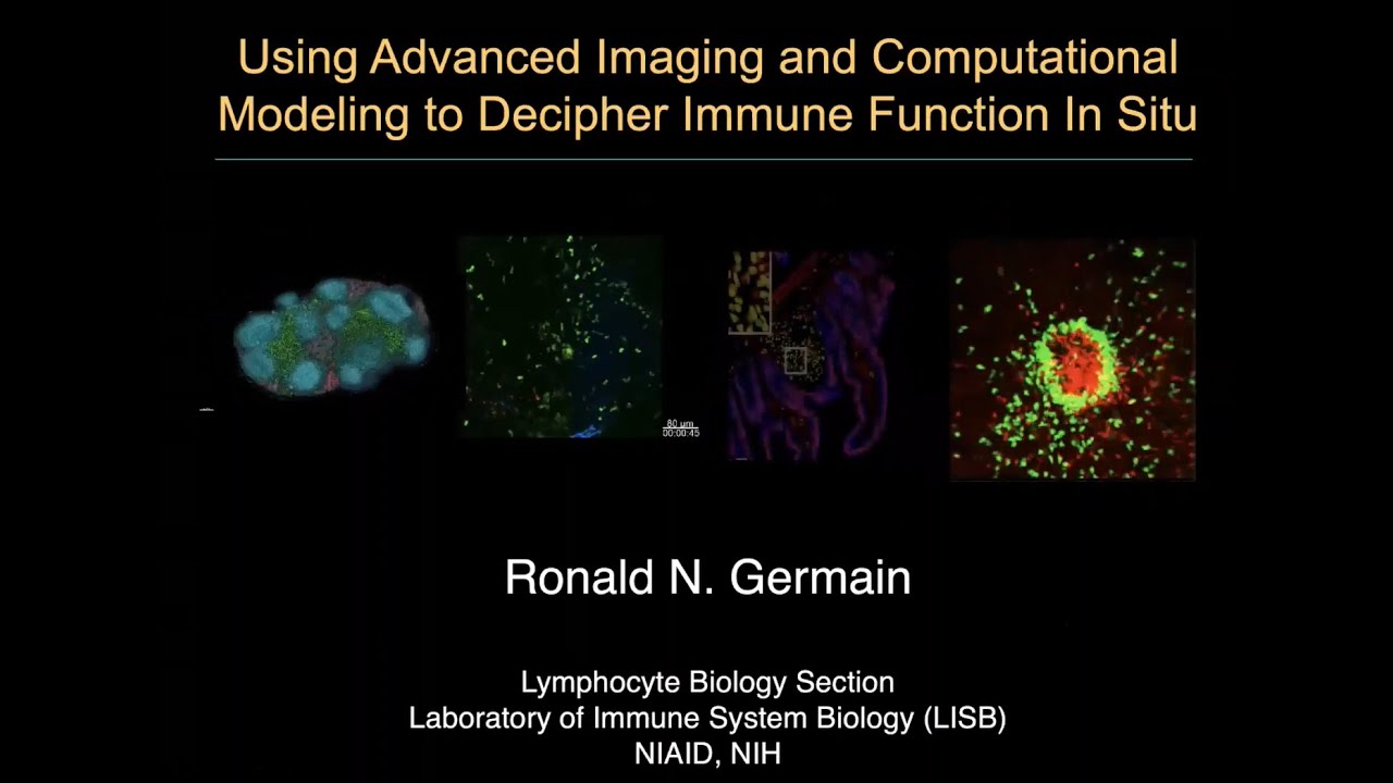 2020 Louis-Jeantet Symposium Ron Germain - YouTube