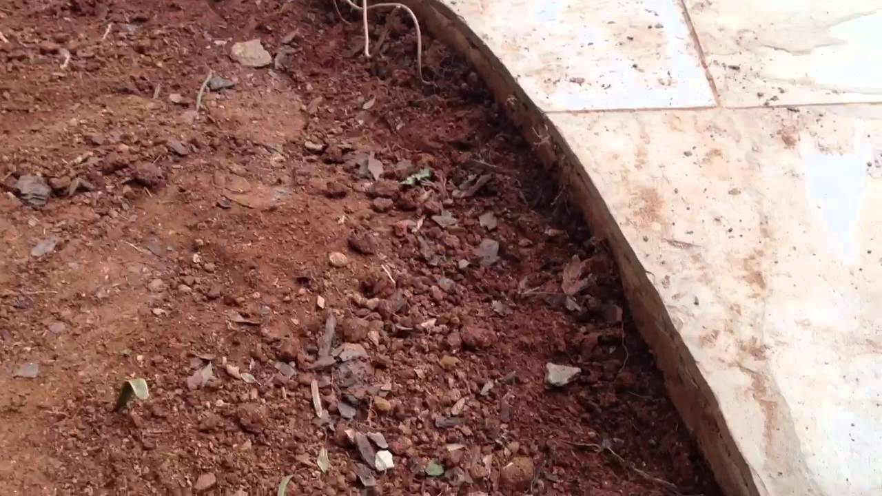 Patio dug out - YouTube