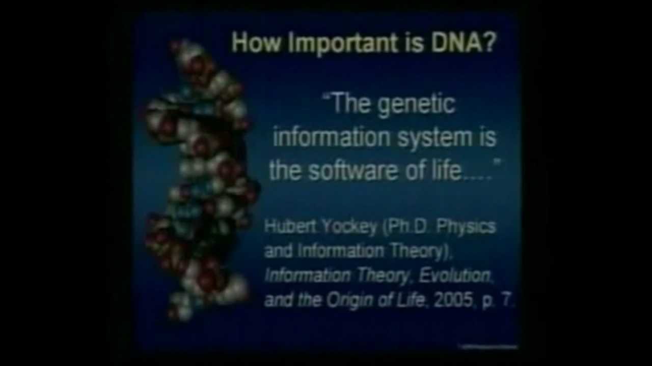 DNA : Proof God's Word Created Everything - YouTube