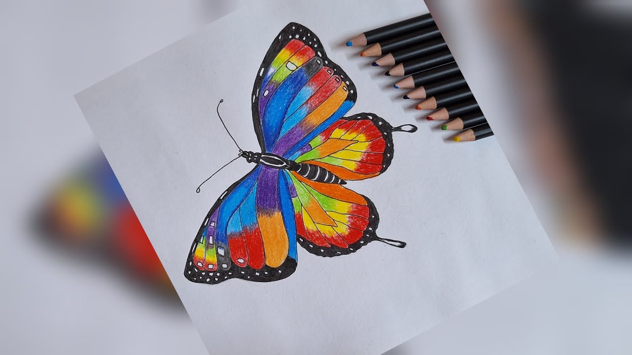 easy and beautiful butterfly drawing and colouring | colouring pictures ...