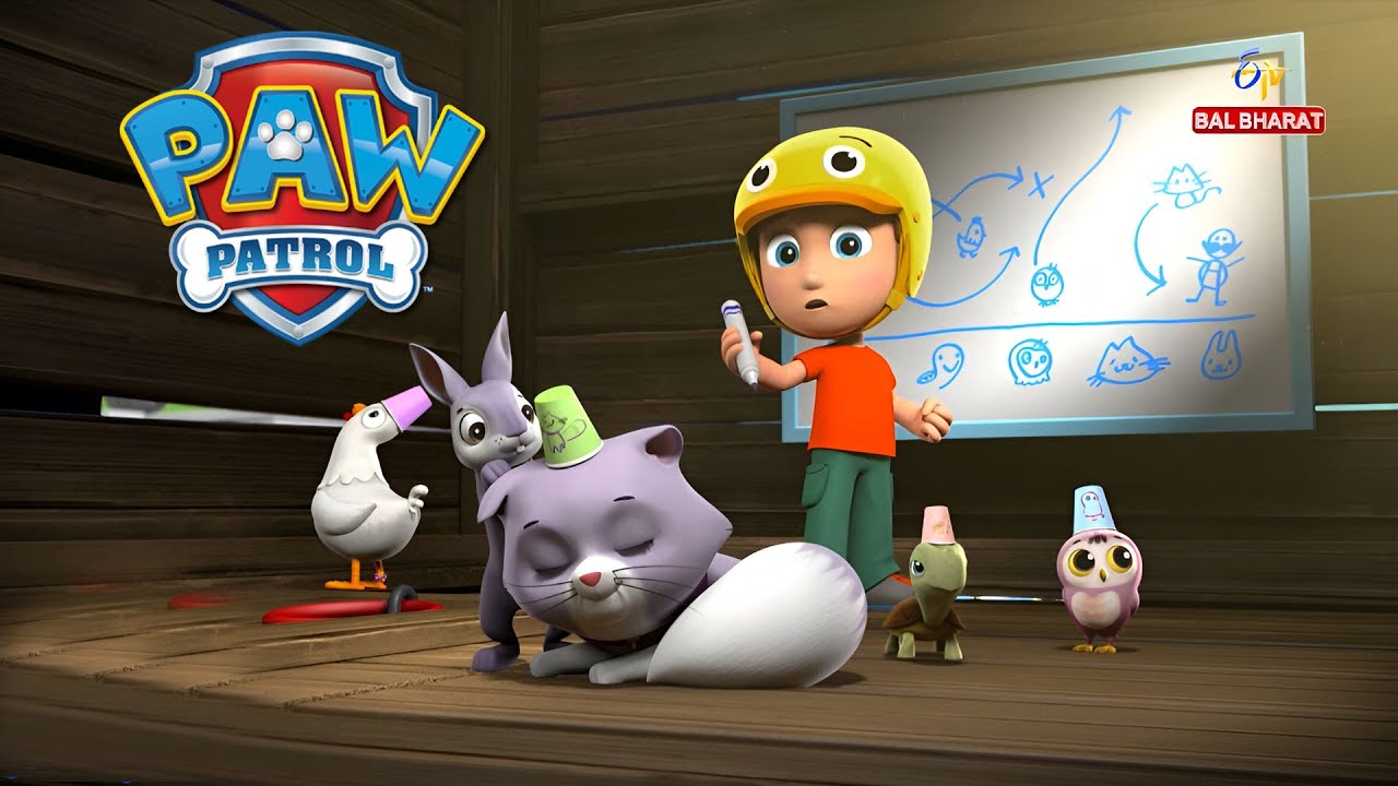 Team Paw Patrol lite | Paw Patrol | Hindi | ETV Bal Bharat - YouTube