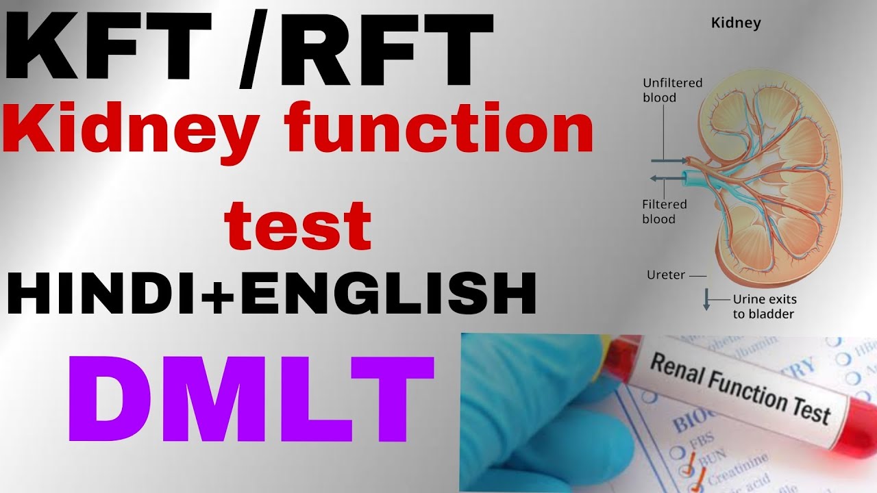 KFT test (RFT) Hindi + English// Dmlt - YouTube
