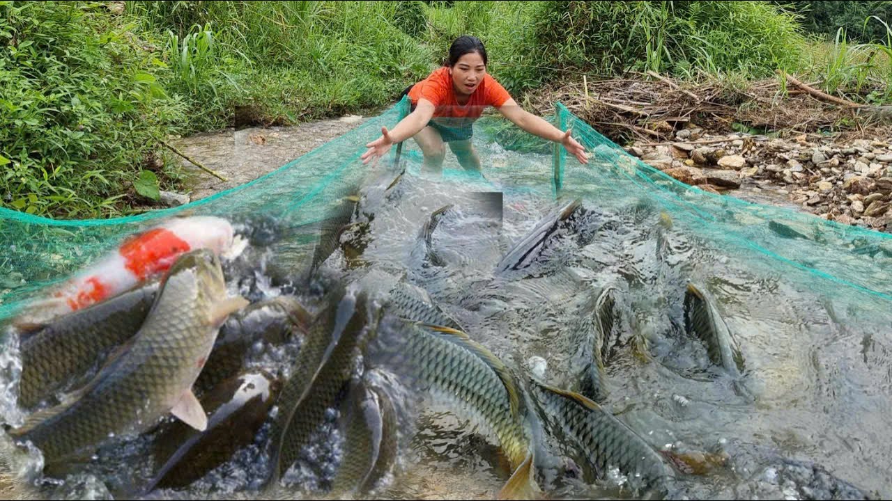 Fish catching skills, harvesting a lot of fish from streams | Mai Hieu ...