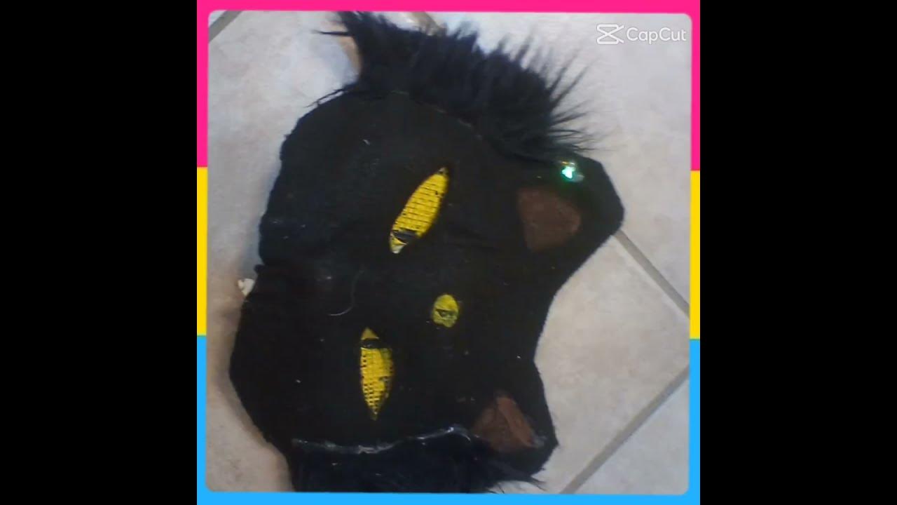 Video(read Description) - YouTube Video(read Description) - YouTube