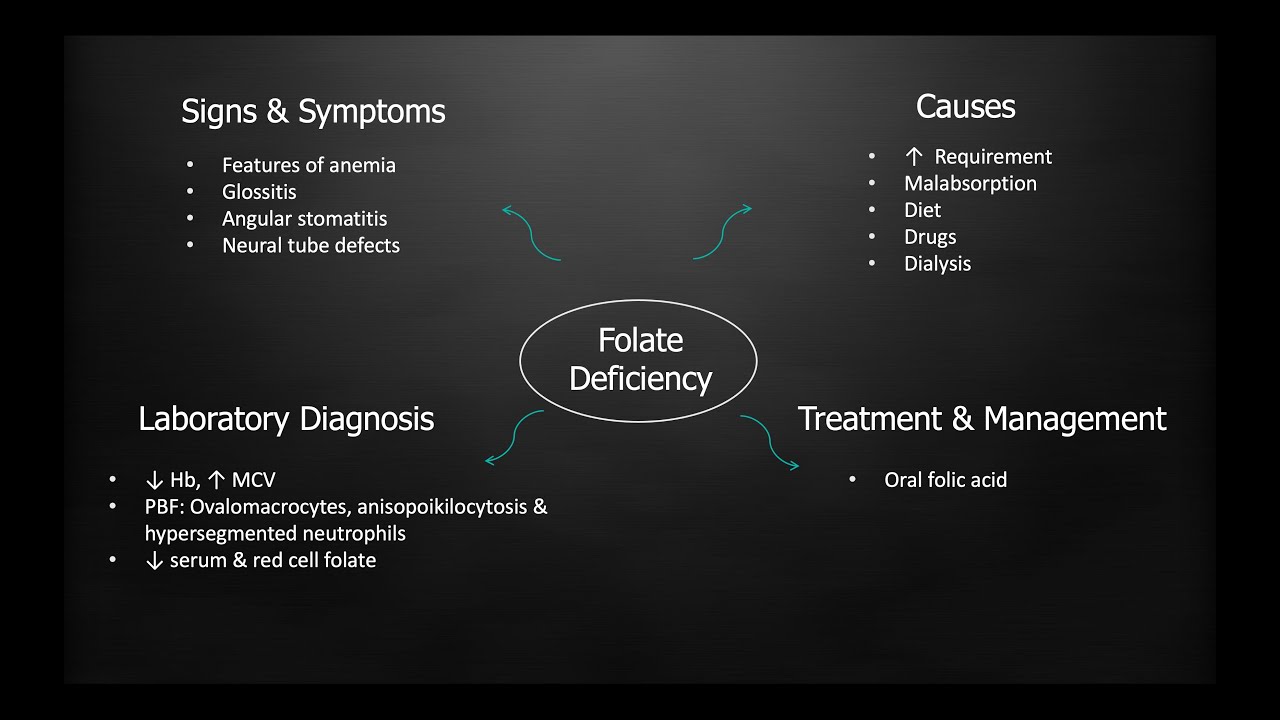 Megaloblastic Anemia Pathway Folate (Vitamin B9) Deficiency: Video,