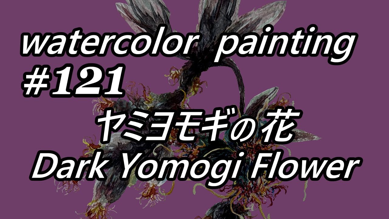 【watercolor Lv.18】ヤミヨモギの花 Dark Yomogi Flower / 花の描き方 How to paint ...