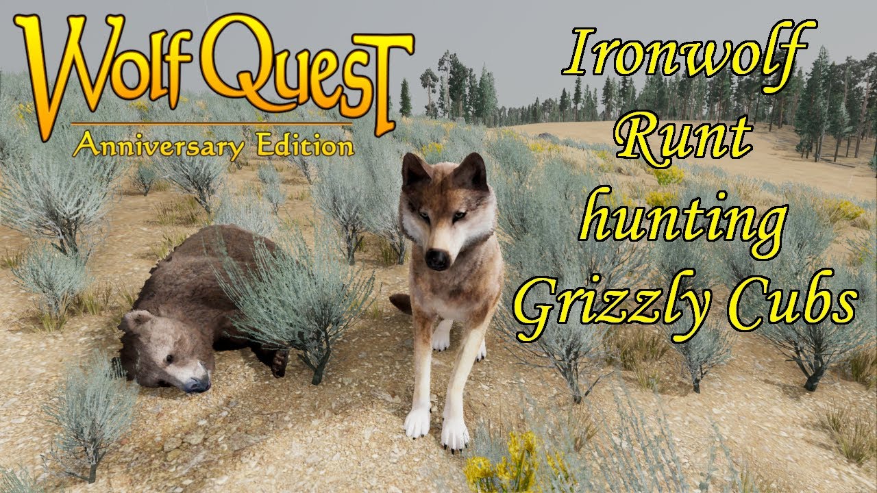 Wolf Quest AE - Ironwolf Runt hunting Grizzly Cubs - YouTube