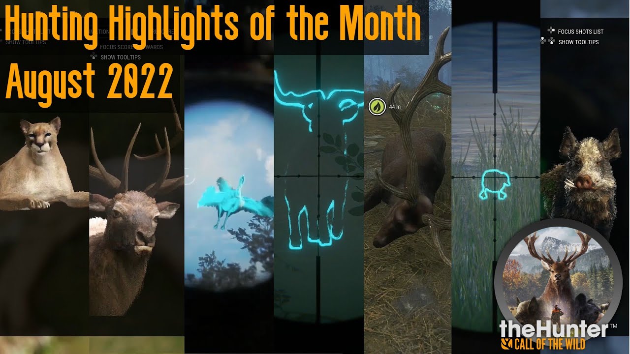 Hunting Highlights of the Month August 2022 theHunter Call of the Wild ...