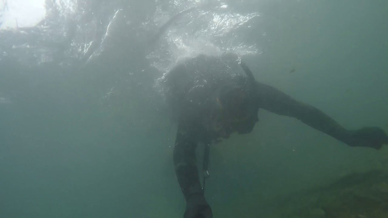 Hyperfin Demo and Vapor Find - YouTube