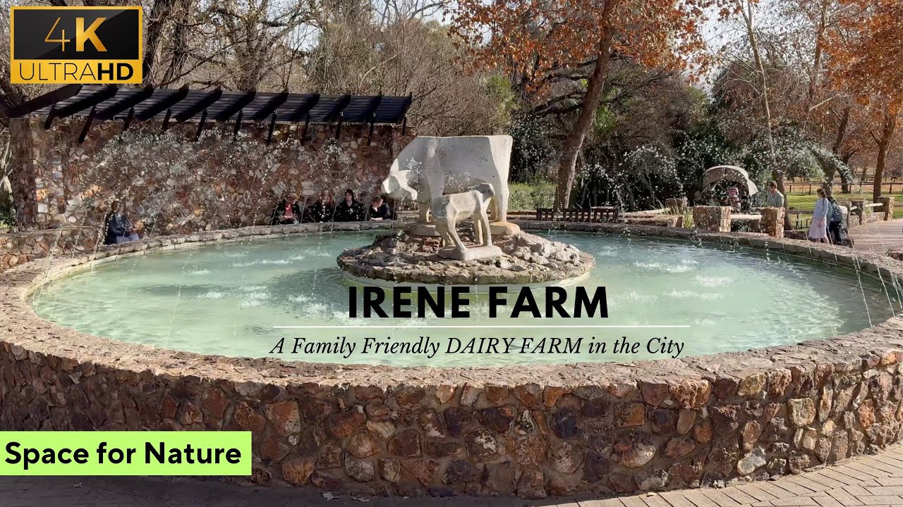 Why You Should Visit Irene Dairy Farm Today | South Africa | City farm ...