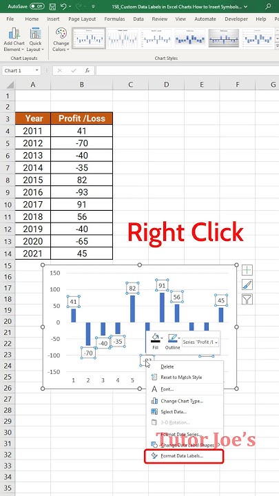 Customizing Data Labels in Excel Charts: A Visual Guide to Data Insights | Tutor Joes - YouTube