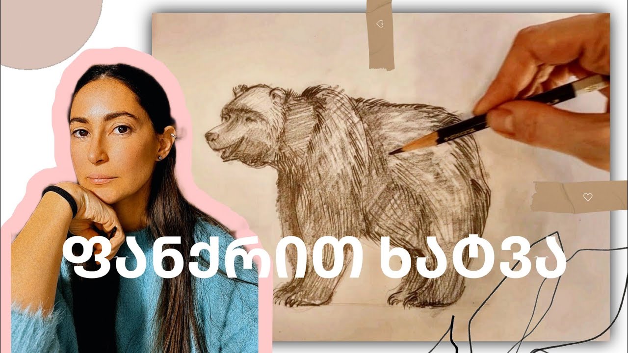 როგორ დავხატოთ დათვი?|| ფანქრით ხატვა|| how to draw a bear| tutorial ...