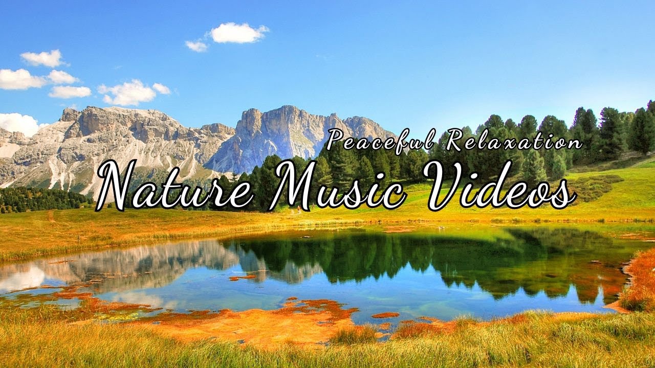 Asian Forest 4K 🐘 Nature Relaxation Film - Nature Relaxing Music - 4k ...