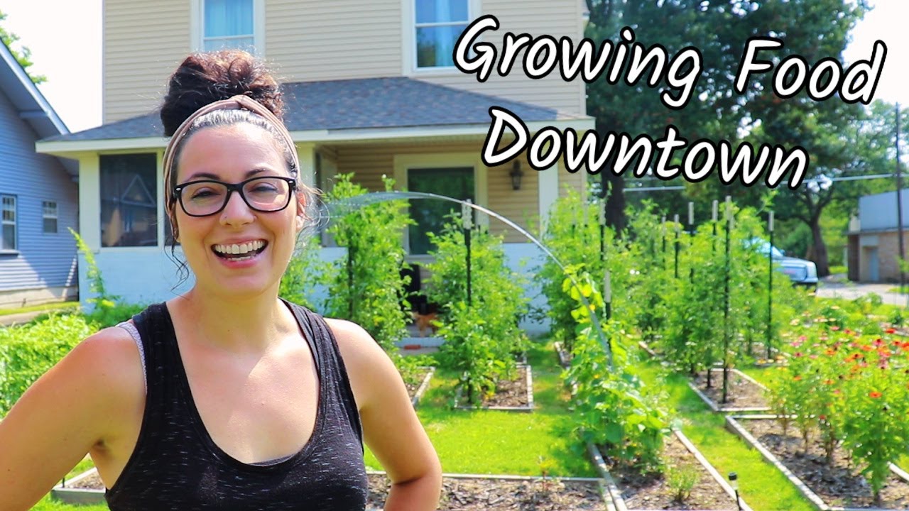 Urban Homesteading - Grow an Abundance of Food on 1/5th Acre - YouTube