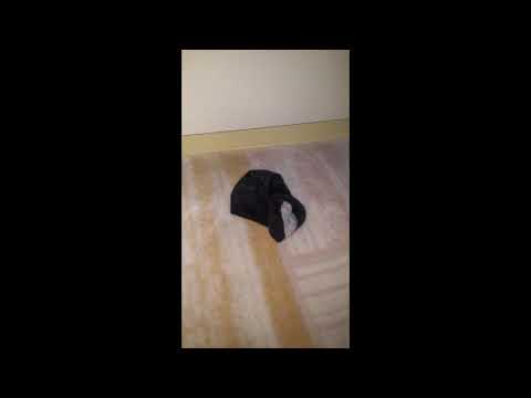 Hüzünlü Bir Hikaye - The Çorap