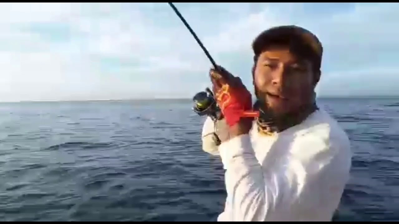 Lady fish a.k.a bandang... Feel the sound of shimano sahara reel...auto ...