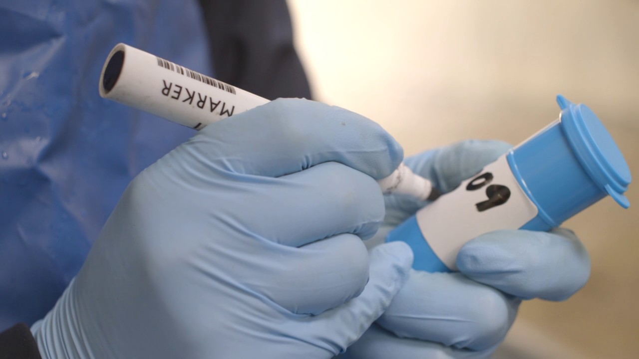 Glanbia Ingredients Ireland | How to take a sterile cow milk sample ...