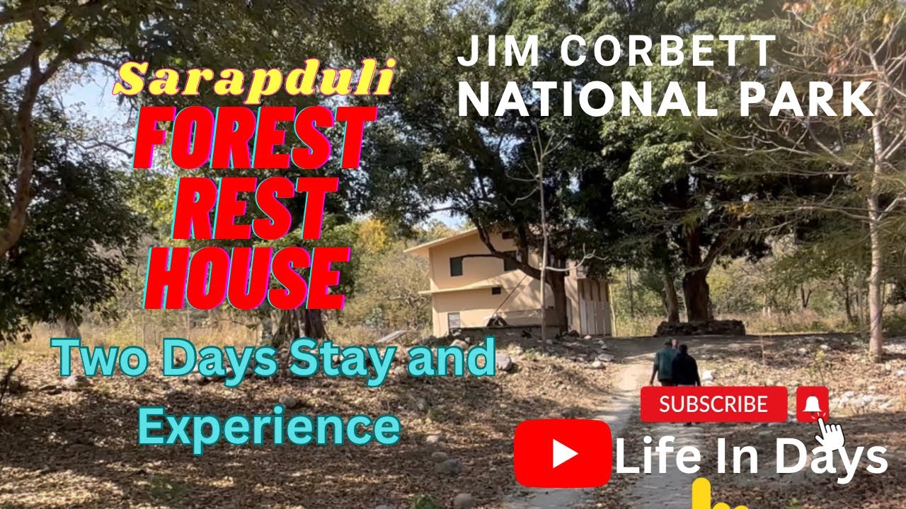 Stay at Sarapduli Forest Rest House | Jim Corbett #tiger #jimcorbett ...