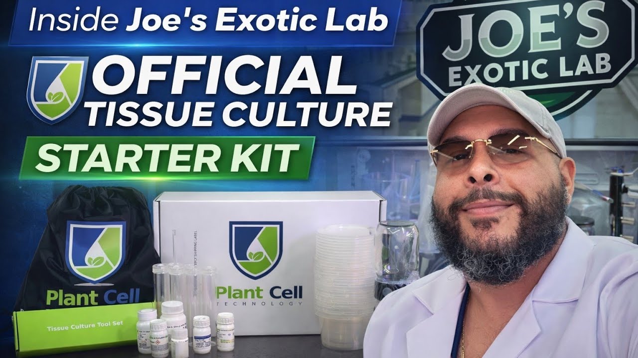 I Built a Plant Tissue Culture Lab Using This Starter Kit from Plant ...