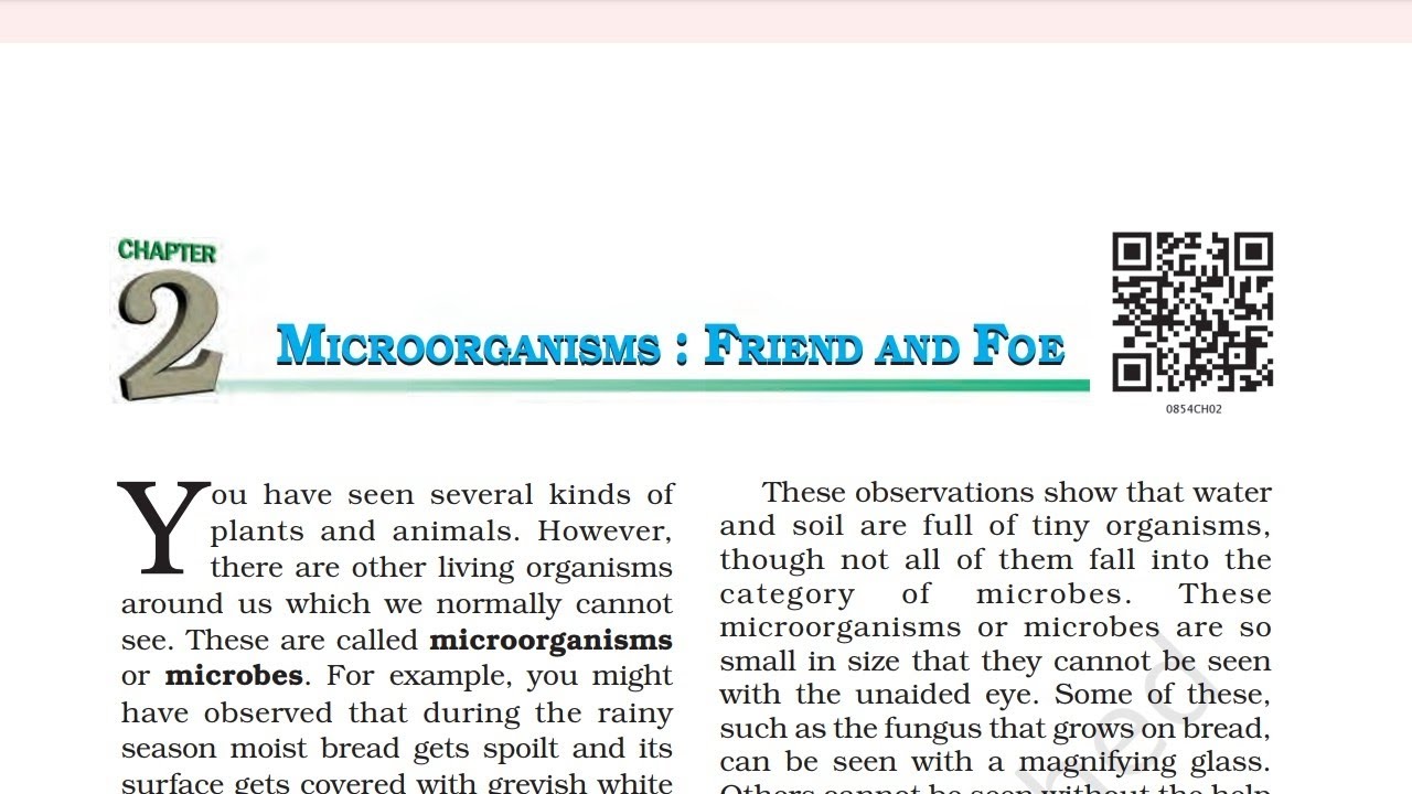 Class 8th ( part 1) science chapter number 2 microorganisms : friends ...