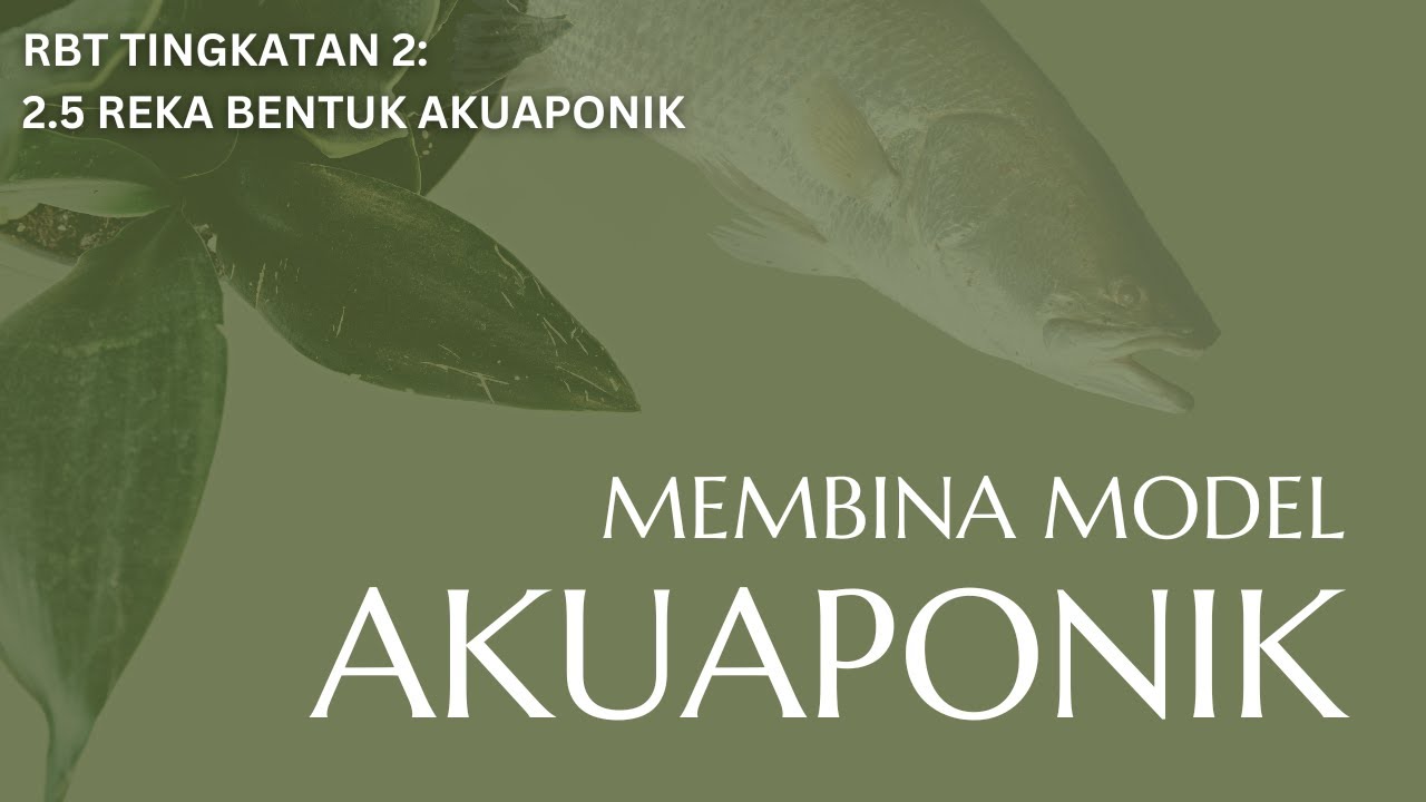 Membina Model Akuaponik yang Mudah Menggunakan Sistem Raft - YouTube
