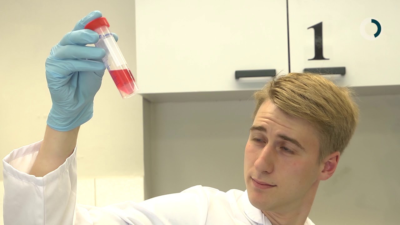 Meine Promotion in 100 Sekunden: Torben Stallbaum - YouTube