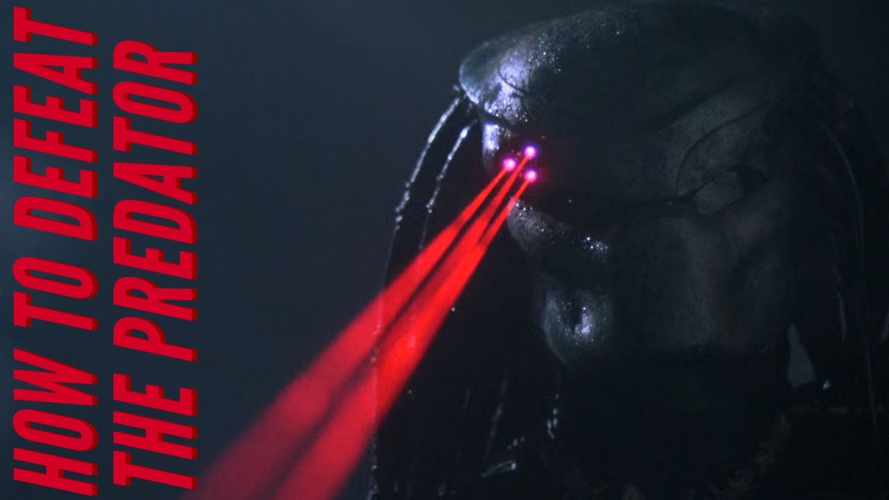 How to defeat the Predator - TOM CLANCY'S GHOST RECON WILDLANDS - YouTube