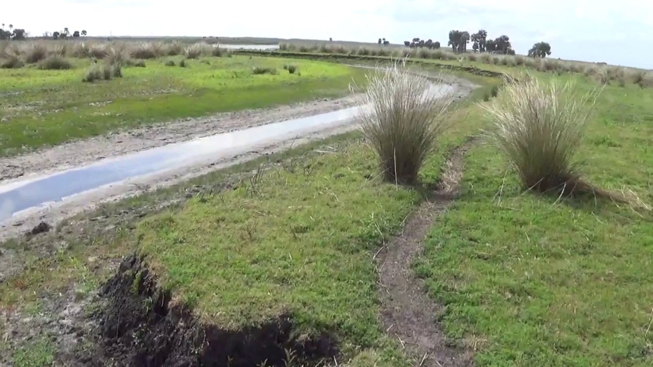 1912 Addison Canal and St. John's River at Canaveral Marshes ...
