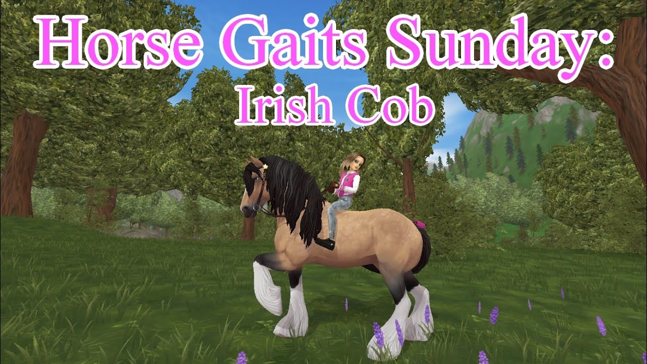 Horse Gaits Sunday: Irish Cob | #SSO - YouTube