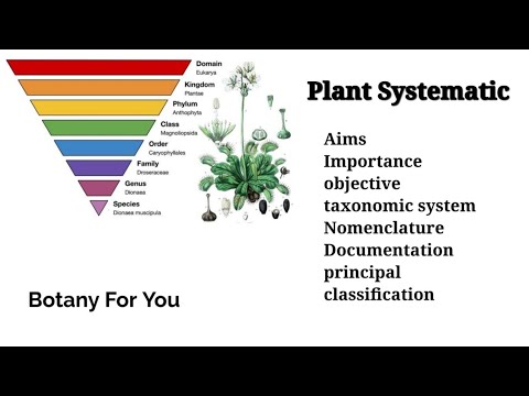 What is Plant Systematic |Aim, importance,objective, system, principal ...