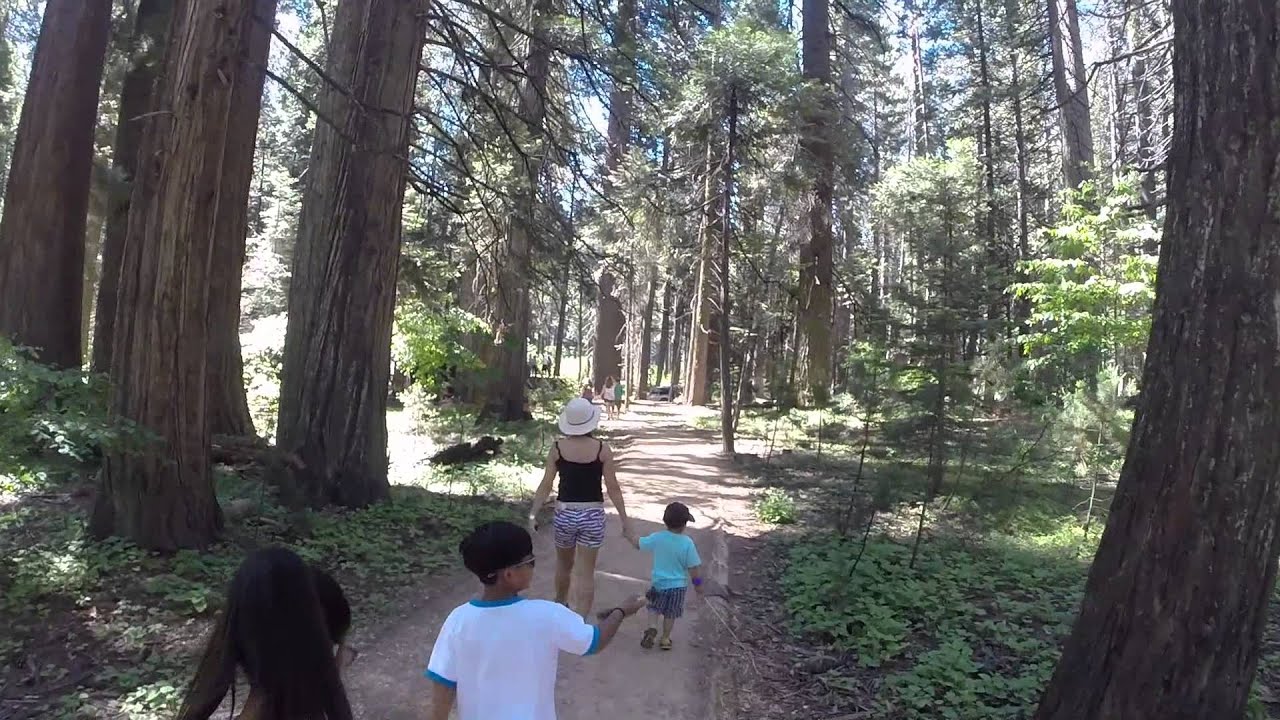 Family Camping at Calaveras Big Trees State Park - YouTube