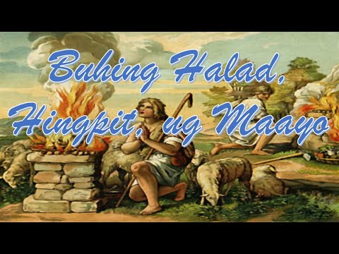 Ordinaryong Panahon-Bokasyon-Profession-Kasal-Ordinasyon-Buhing Halad ...