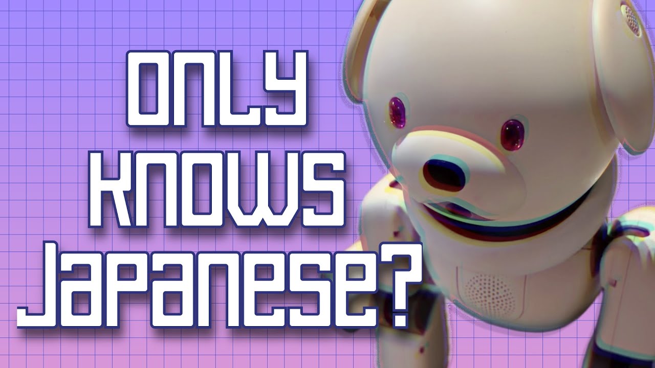 Testing Out All Japanese AIBO ERS-3XX Commands - YouTube