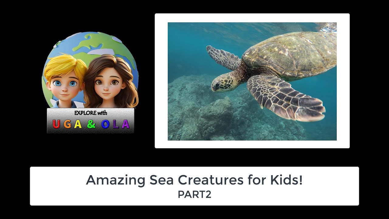 Amazing Sea Creatures for Kids! - Part 2 🐢 - YouTube