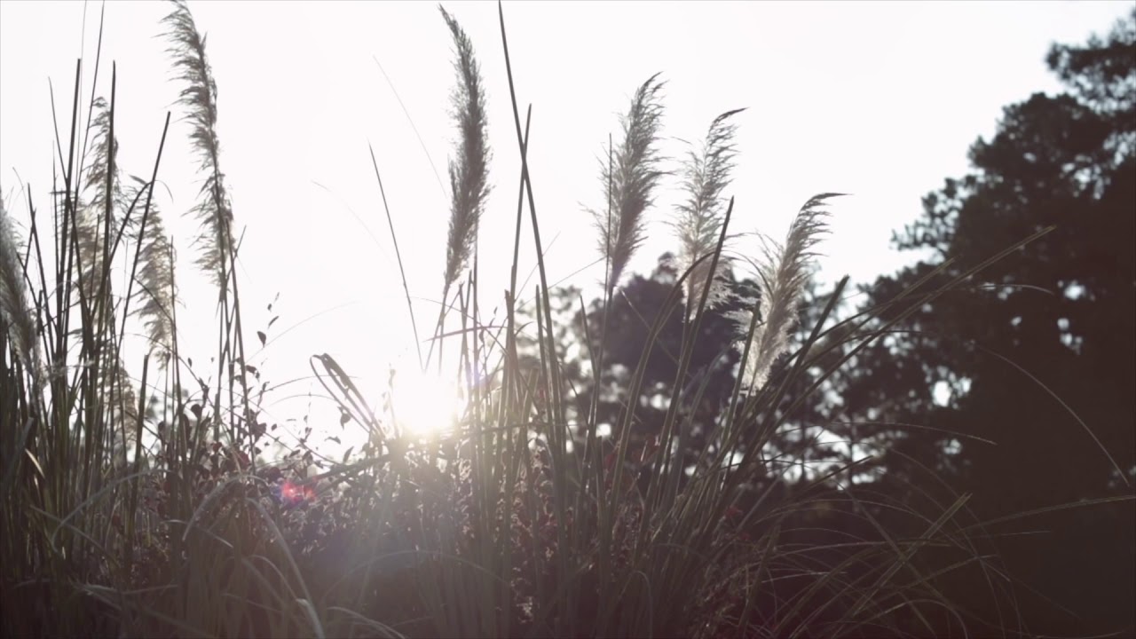 Dr. Erica Pooler, I am: The power of your words - YouTube