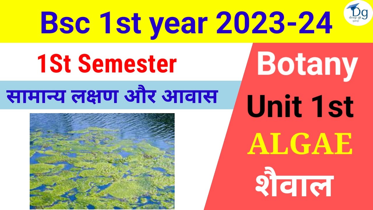 BSc first year botany algae शैवाल । BSc first year botany unit first. BSc online classes. #bsc ...