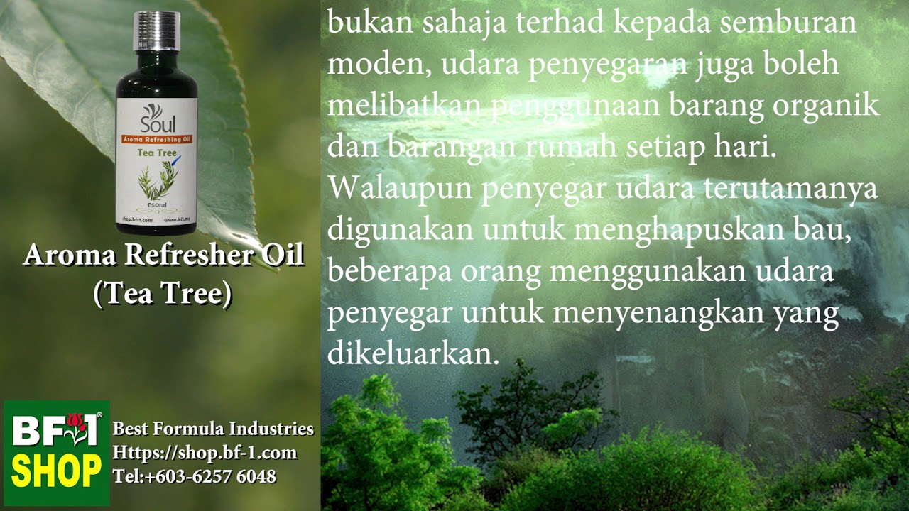 Aroma Refresher Oil - Pokok Teh (Tea Tree) - YouTube