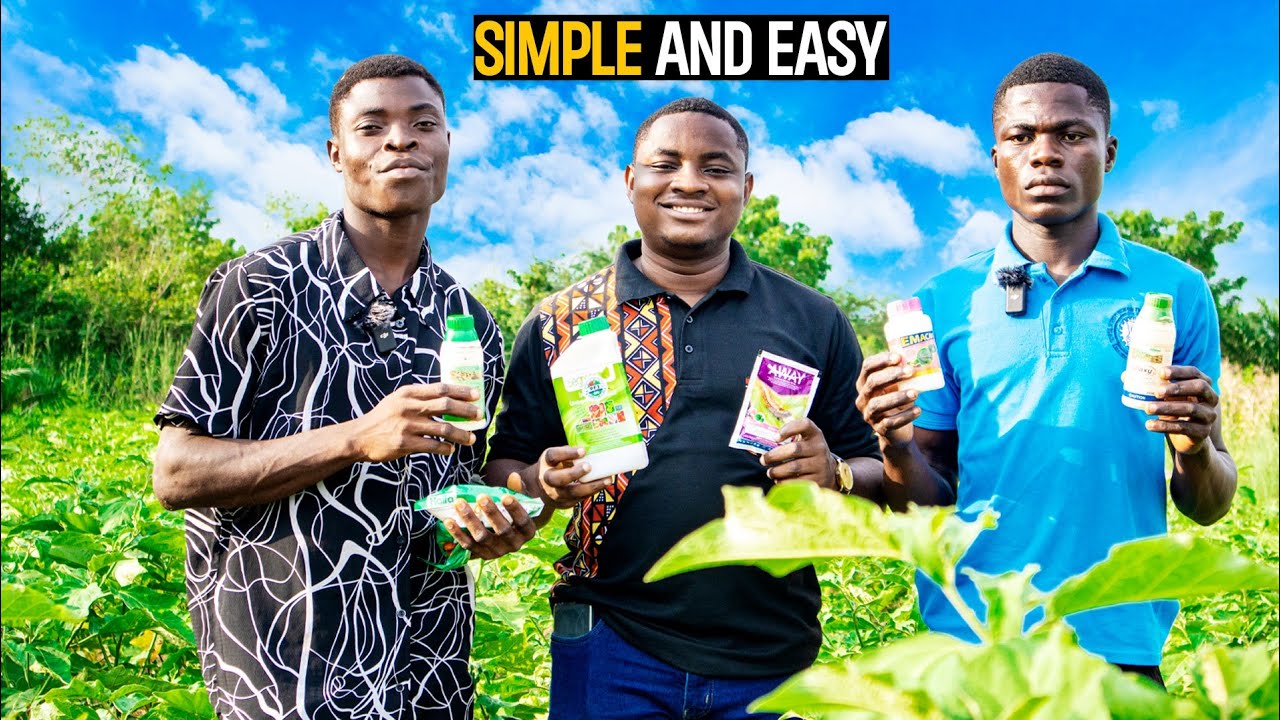 How To Apply Agro Chemicals On Your Vegetable Farm to Achieve the BEST RESULTS! #agrochemicals ...