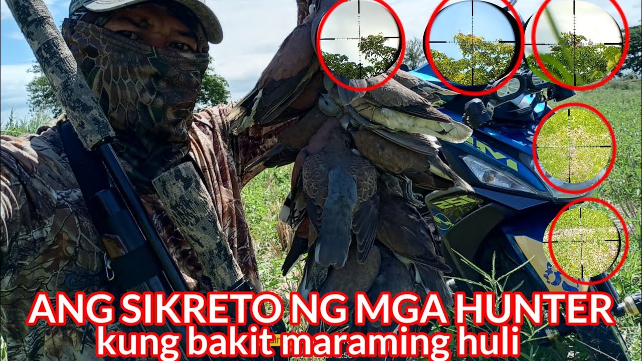 EP4 BIRD HUNTING PEST CONTROL PAGBABAWAS NG MGA PESTE SA ATING MGA ...