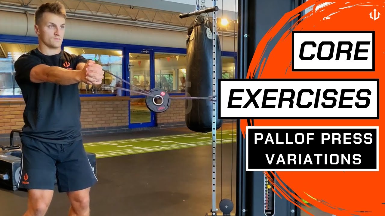 Pallof Press Variations // Best Core Stability Exercises - YouTube