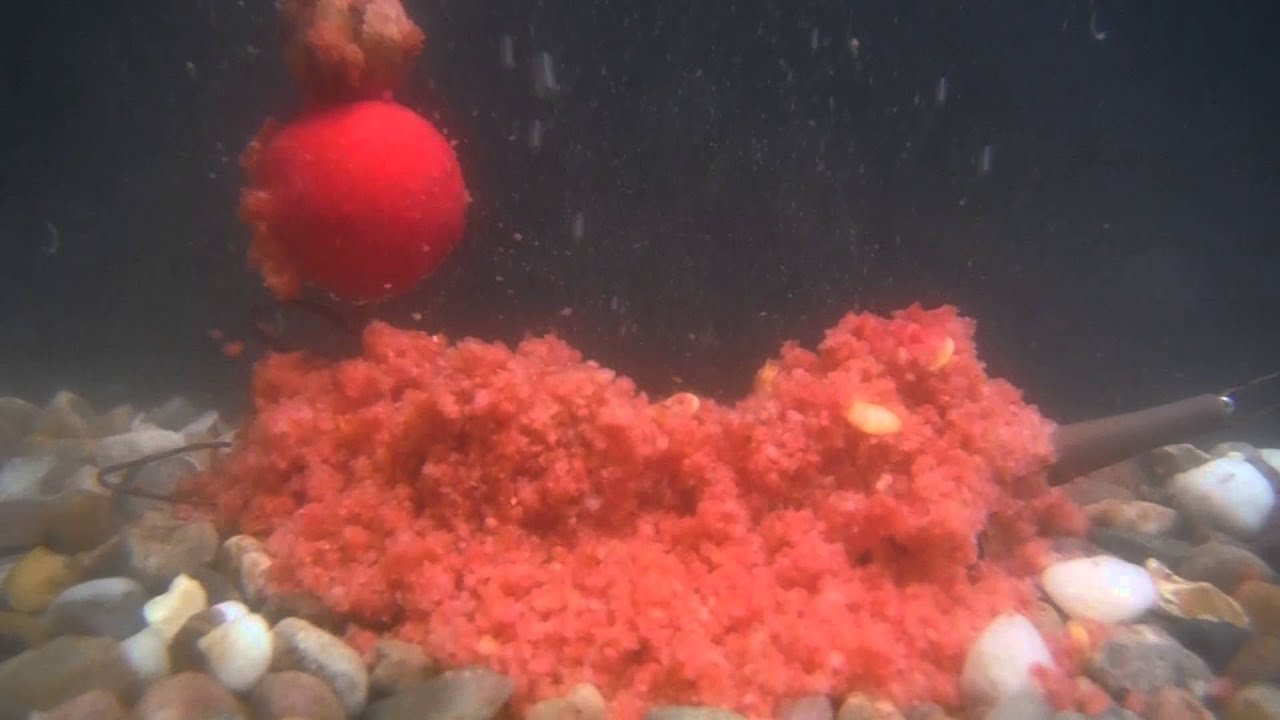 Nitro Baits Method Feeder - YouTube