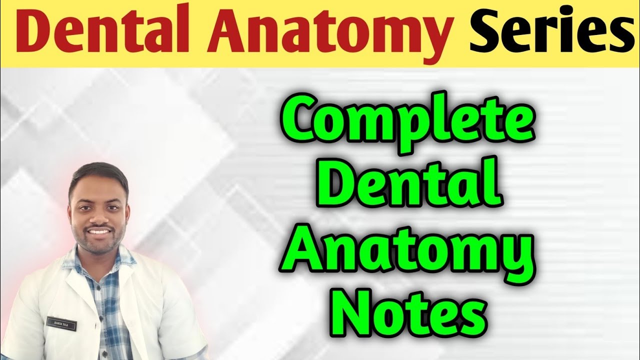 Complete dental anatomy notes/ Bds 1st. year #bds #notes #da # ...